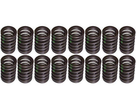 Ecotec - Camshafts & Valvetrain – ZZPerformance